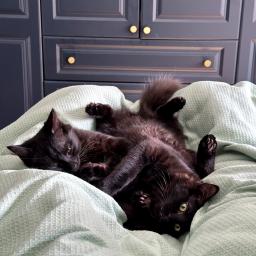 Rowan’s Weeknotes | Rowan Manning